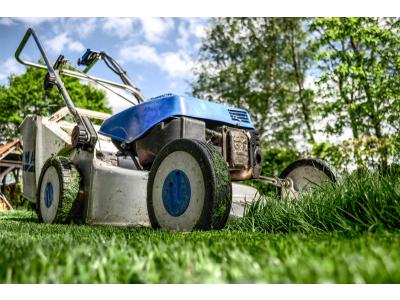 Straatgras (Poa Annua) wel of niet bestrijden | Hendriks Graszoden